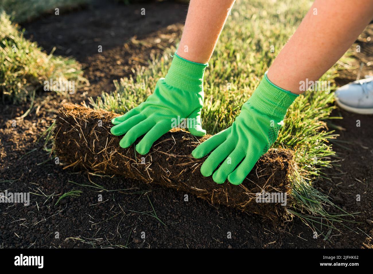 Close up woman laying sod for new garden lawn - turf laying concept ...