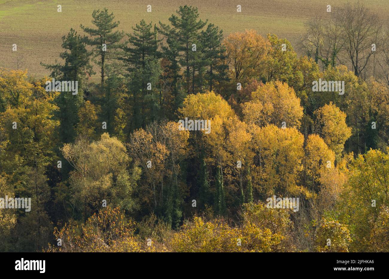 Colors and shades of nature hi-res stock photography and images - Alamy