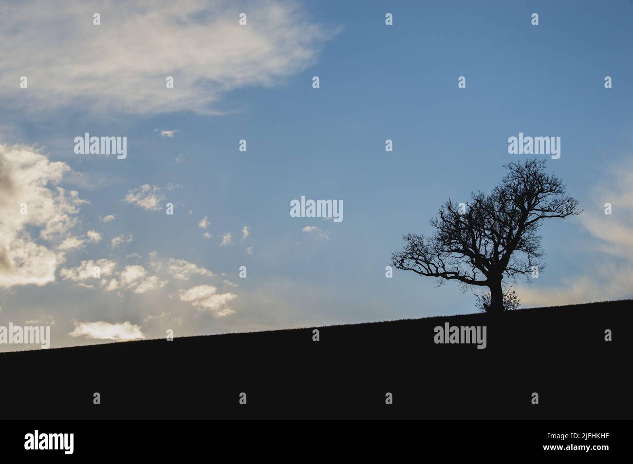 Wallpaper horizontal hi-res stock photography and images - Alamy