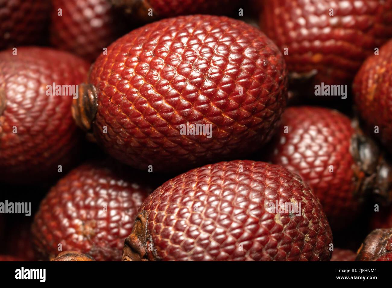 This fruit is widely used for the preparation of various products in ...