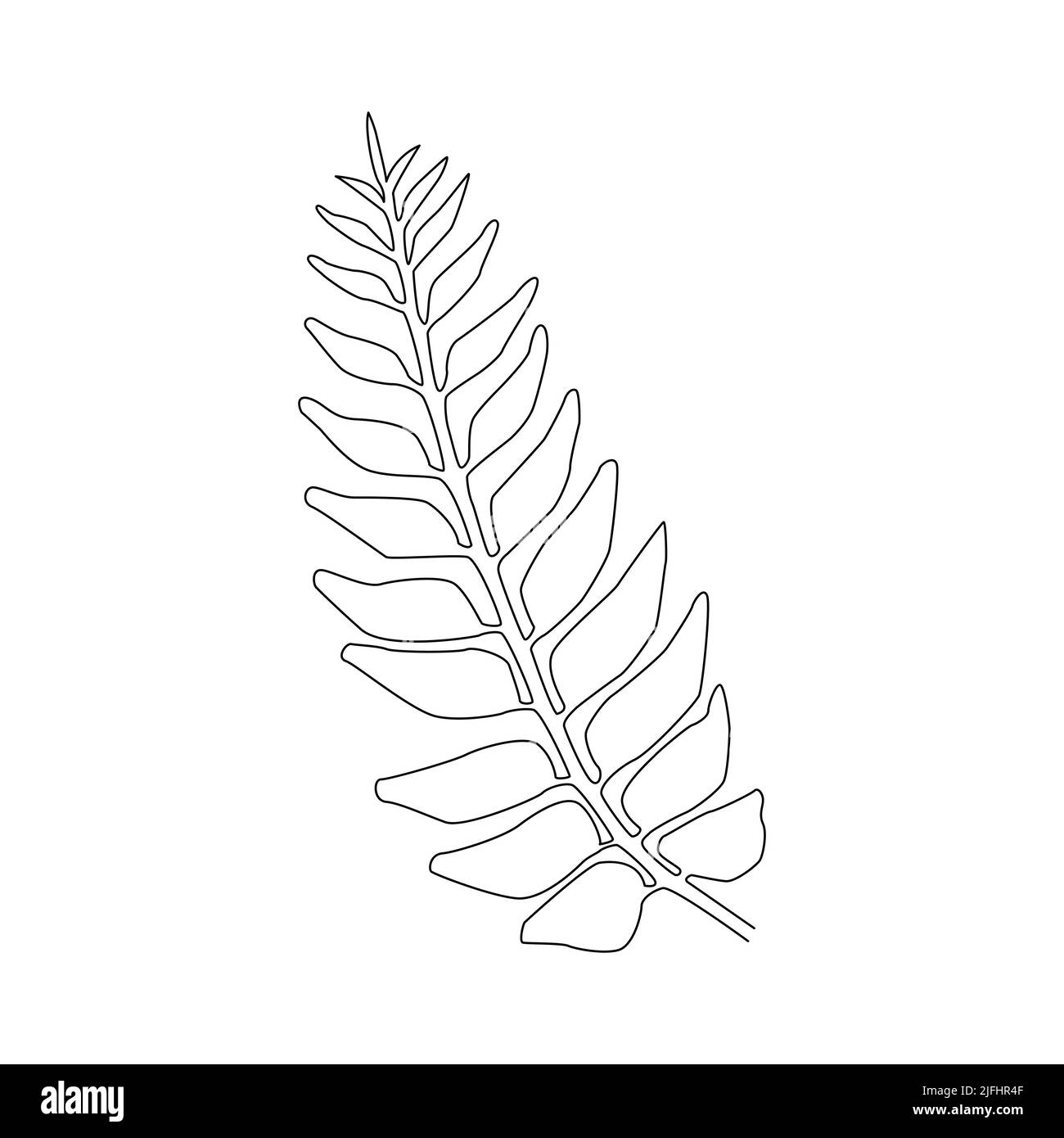 Beautiful leaf lines Stock Vector Images - Alamy