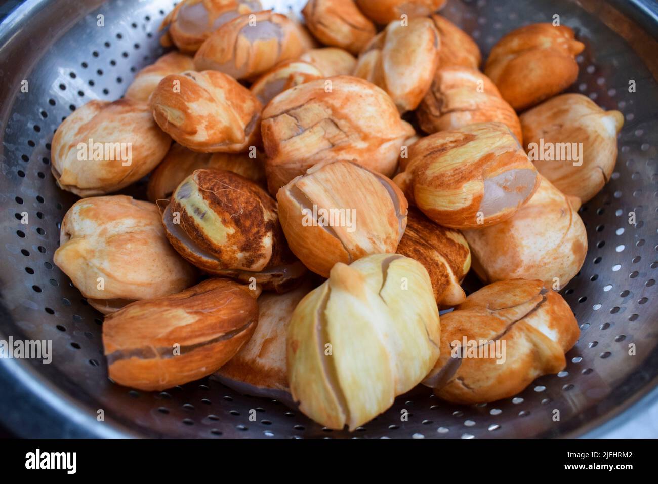 Ice apples also known as Palmyra from a Palm tree. Toddy munjal Stock ...