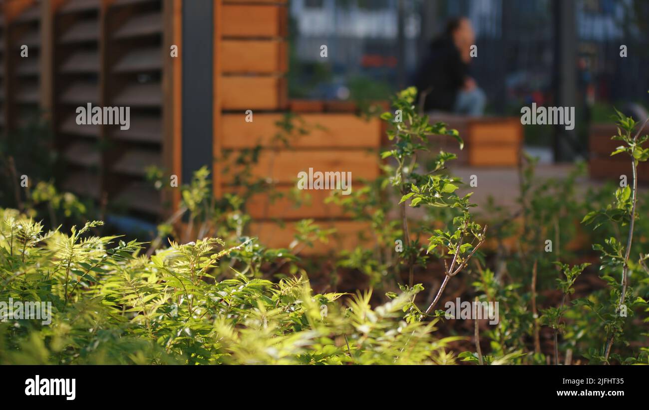 Close-up of greenery at residential building. Stock footage ...