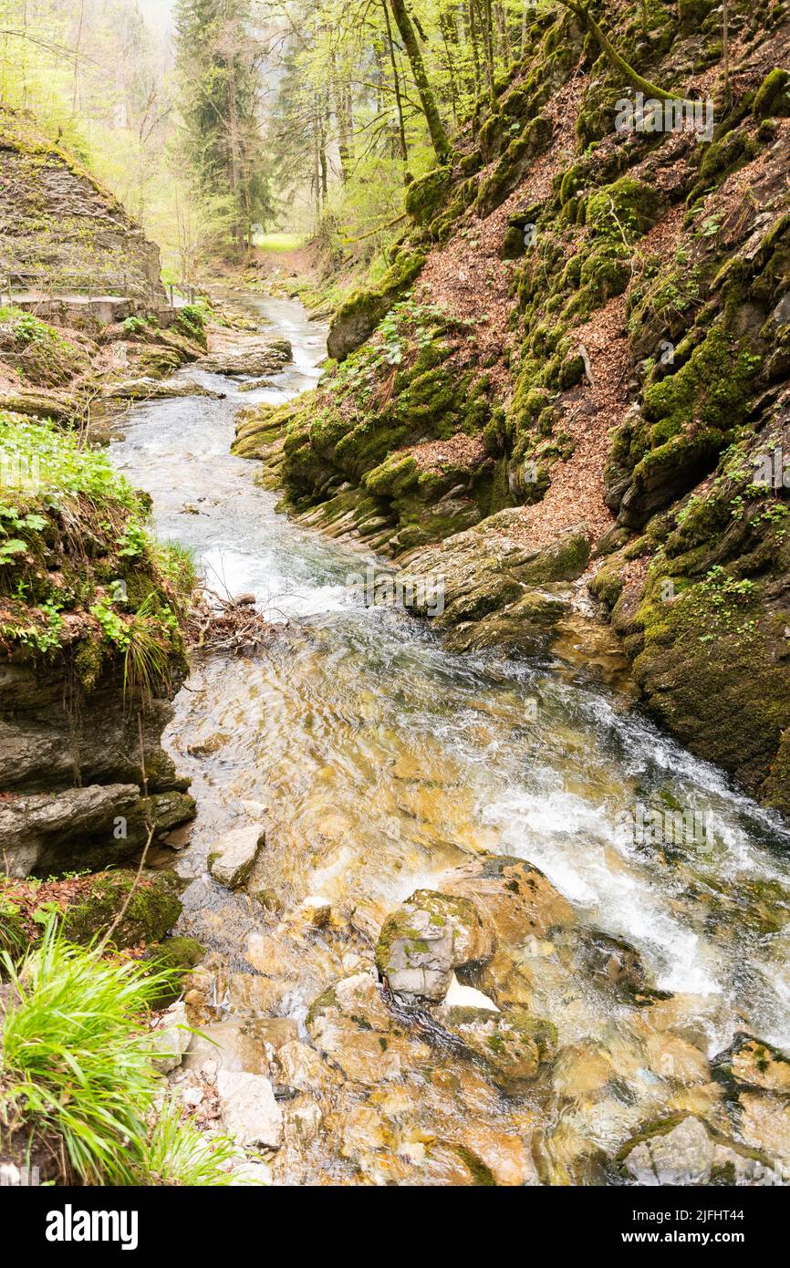 Unterwasser, Switzerland, May 5, 2022 Little alpine river flows along a ...