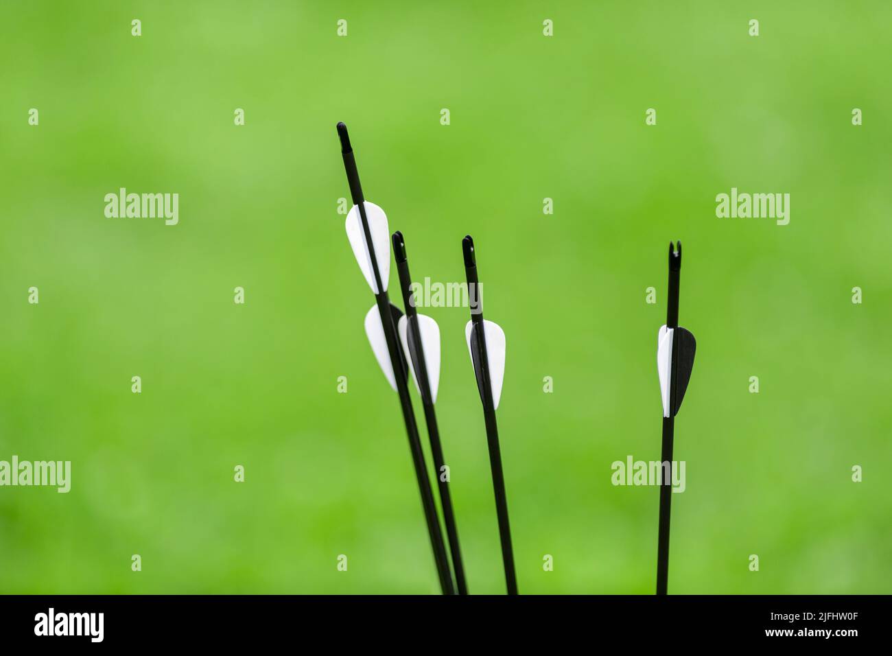 Archery arrows on green background. Professional sport concept ...