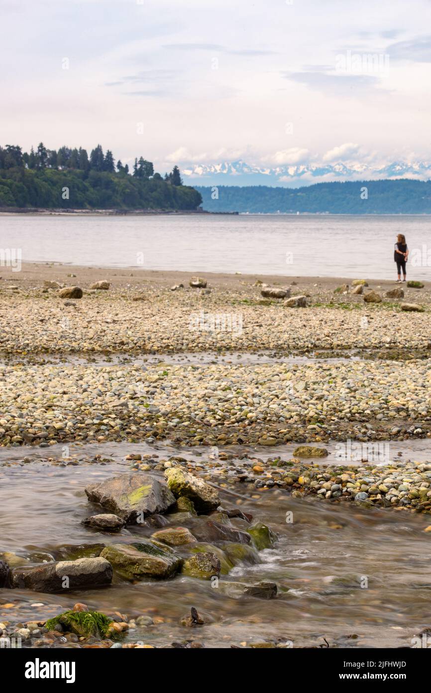 Everett, WA - USA: 02-06-2022: Looking at the Olympic Mountains from ...