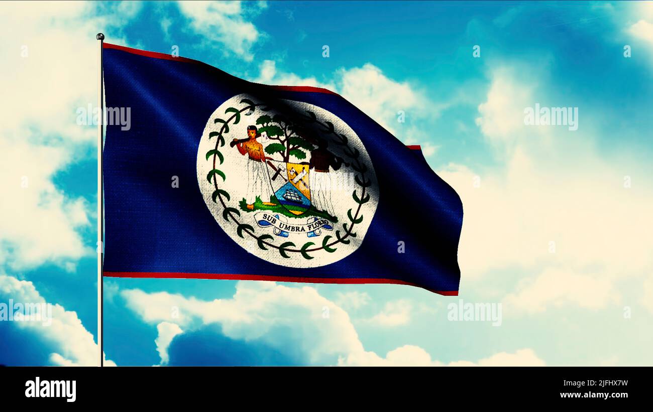 Beautiful flags are flying in sky. Motion. Flag on flagpole is flying ...