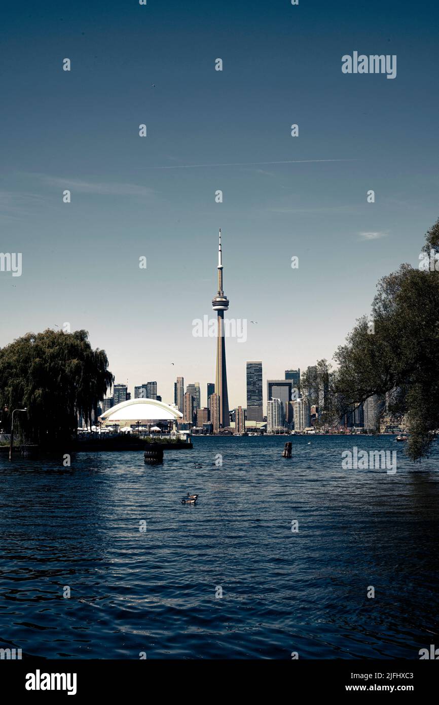 A vertical view from the sea to the cityscape of Toronto - CN Tower in ...