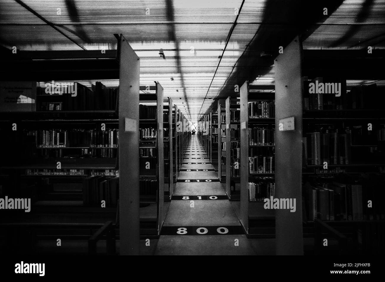 A grayscale shot of a path between bookshelves in a library Stock Photo ...