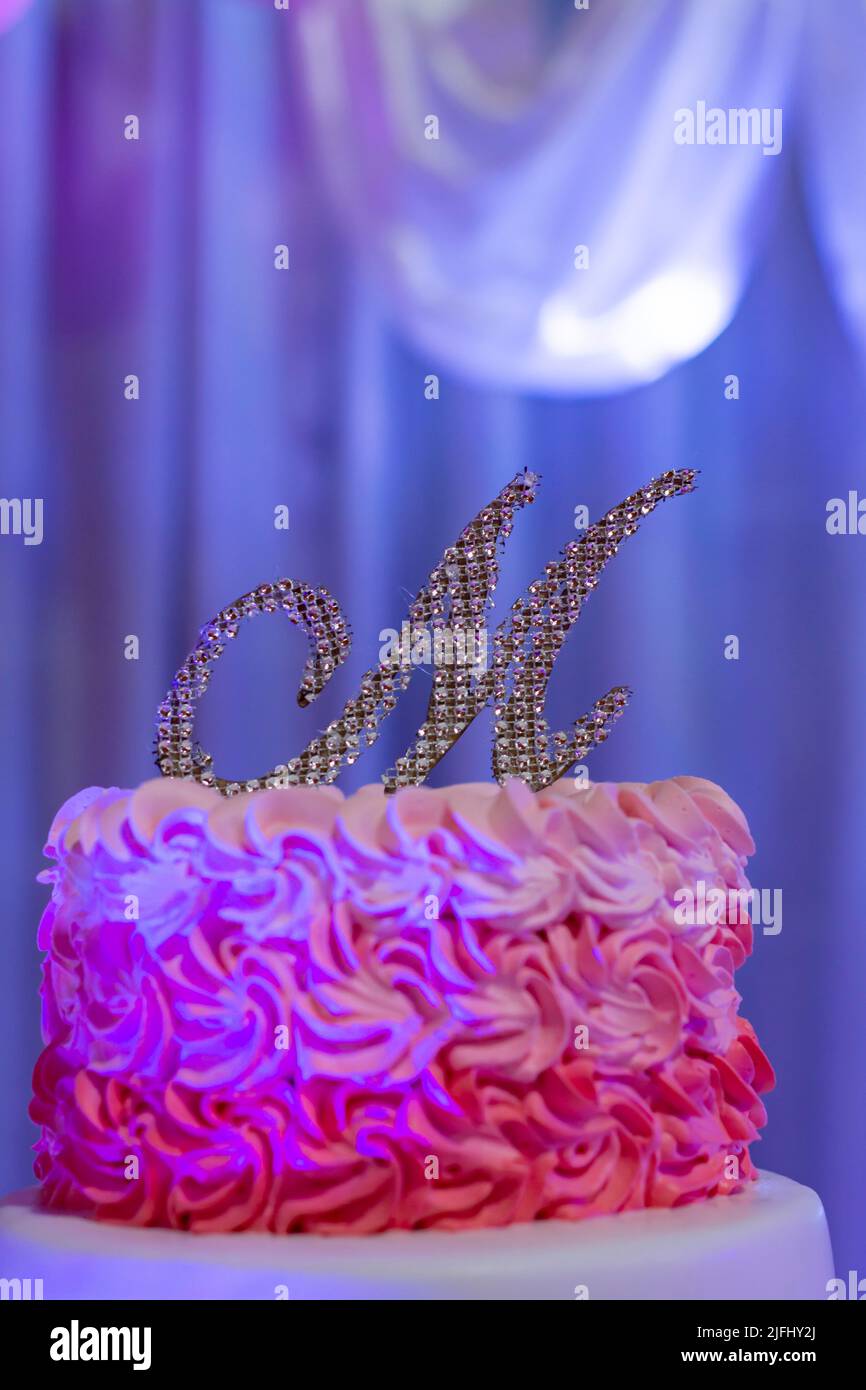 A vertical shot of a creamy pink cake with the letter M on top - party ...