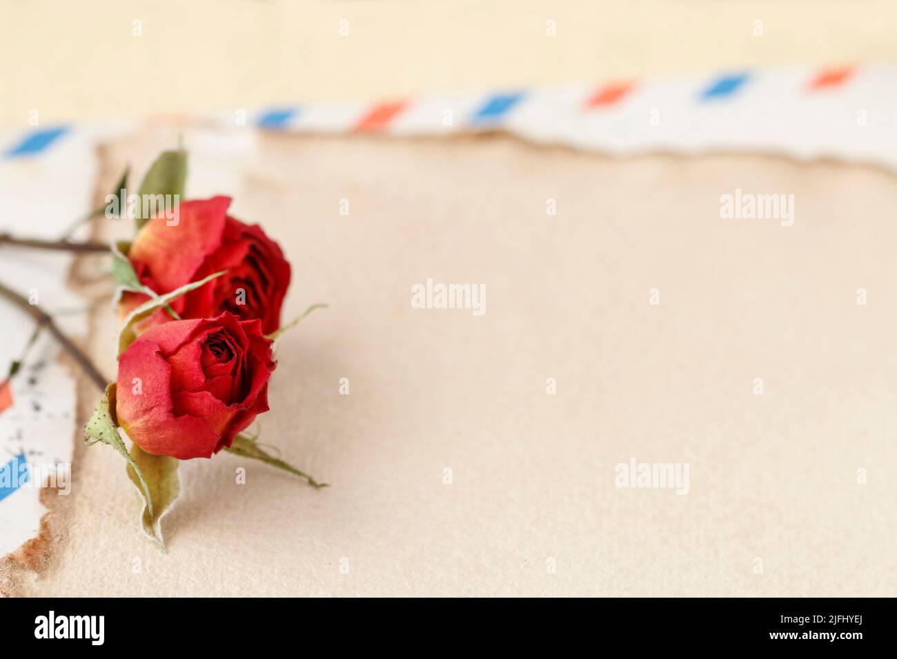 Dried roses and sheet of vintage paper. retro style Stock Photo - Alamy