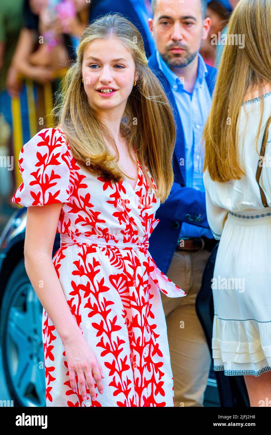 Crown Princess Leonor of Spain attending a work session on the new ...