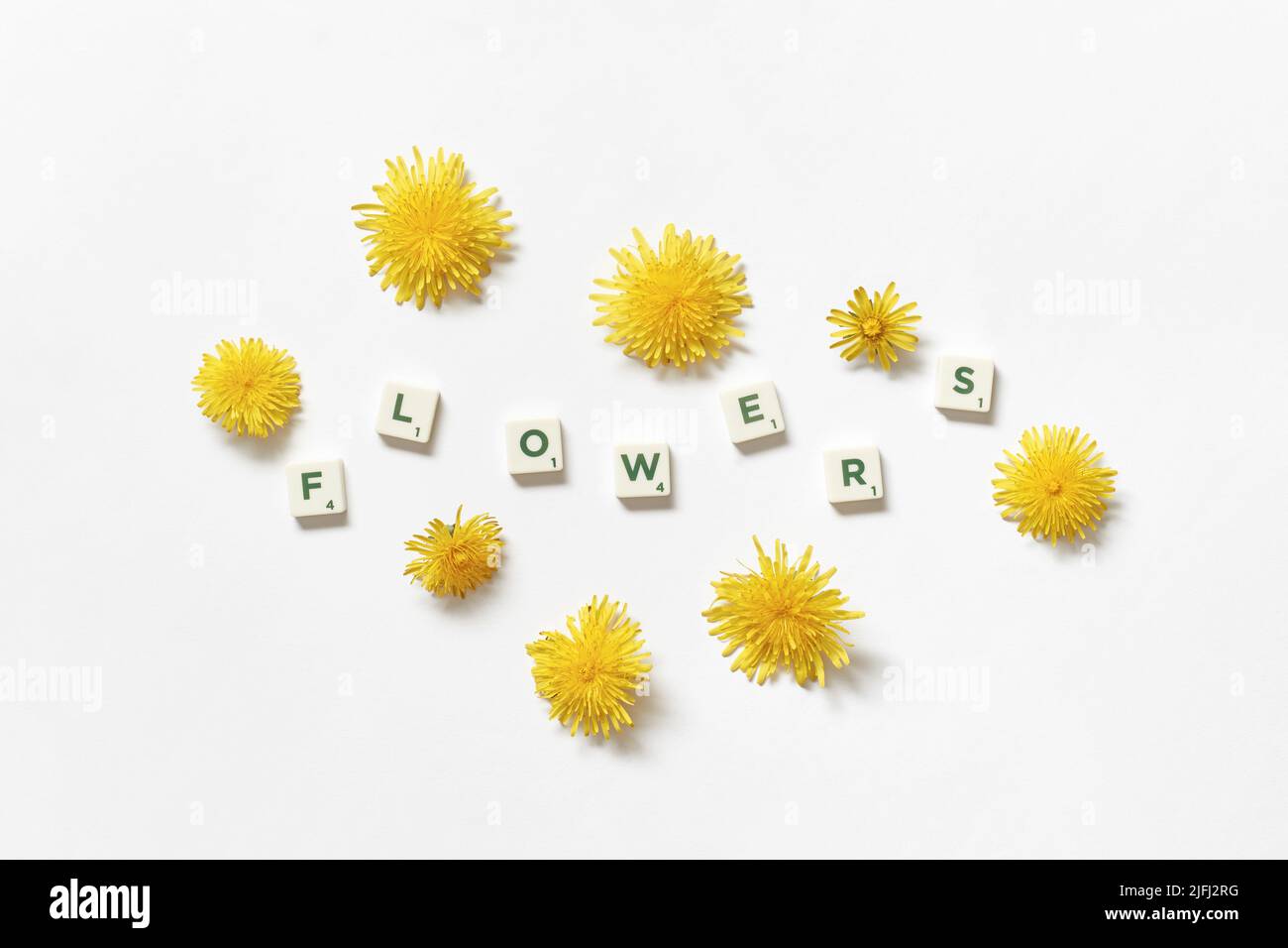 Scrabble tiles with dandelion flowers on white background Stock Photo ...