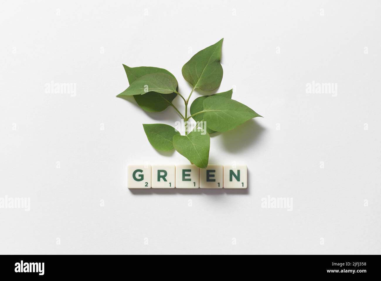 Green formed of scrabble tiles with tree leaves Stock Photo - Alamy