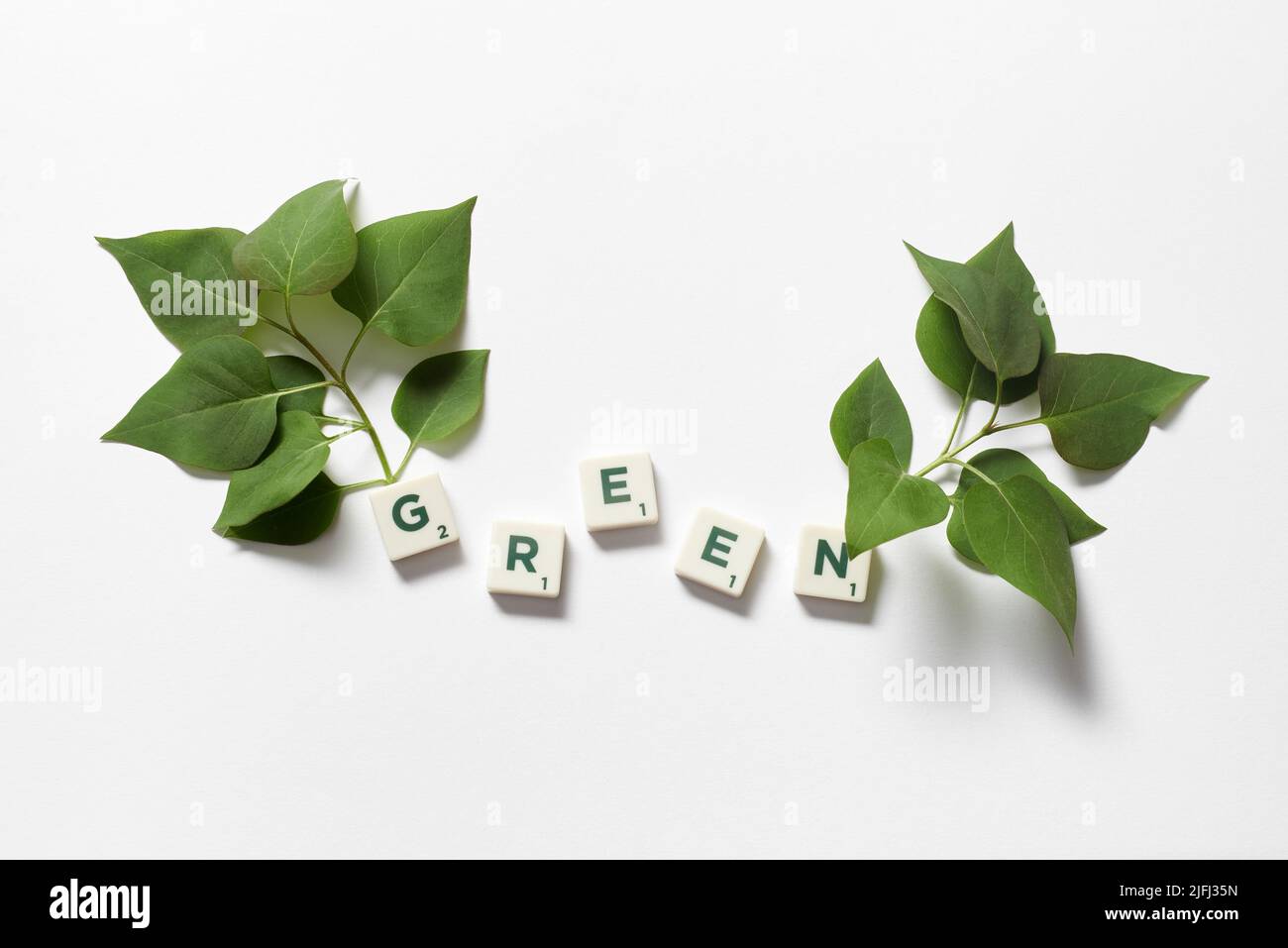 Green formed of scrabble tiles with tree branches Stock Photo - Alamy