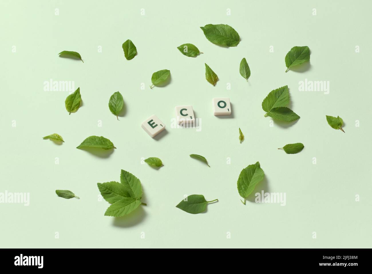 Eco formed of scrabble tiles with tree leaves Stock Photo - Alamy