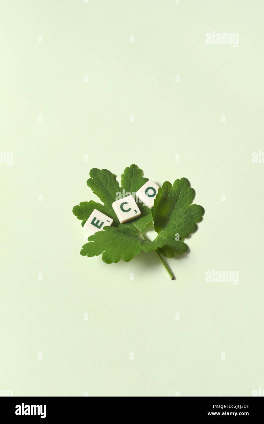 Eco formed of scrabble tiles with tree leaf Stock Photo - Alamy