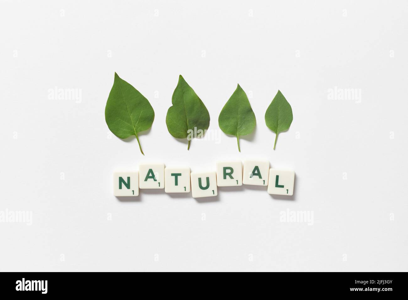 Natural formed of scrabble tiles with tree leaves Stock Photo - Alamy