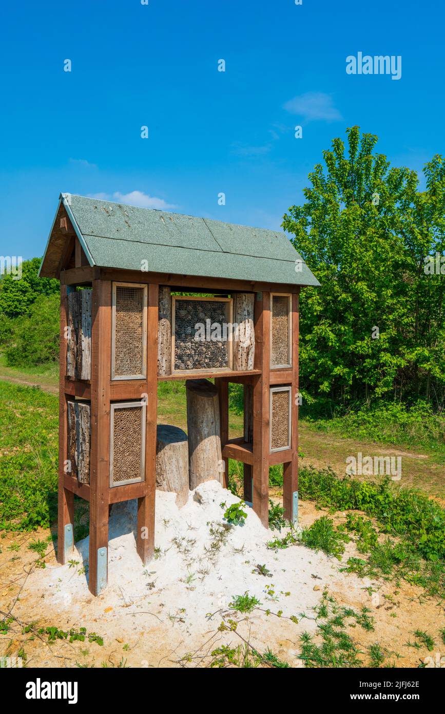 Insect hotel in a green hedge gives protection. Wooden insect house ...