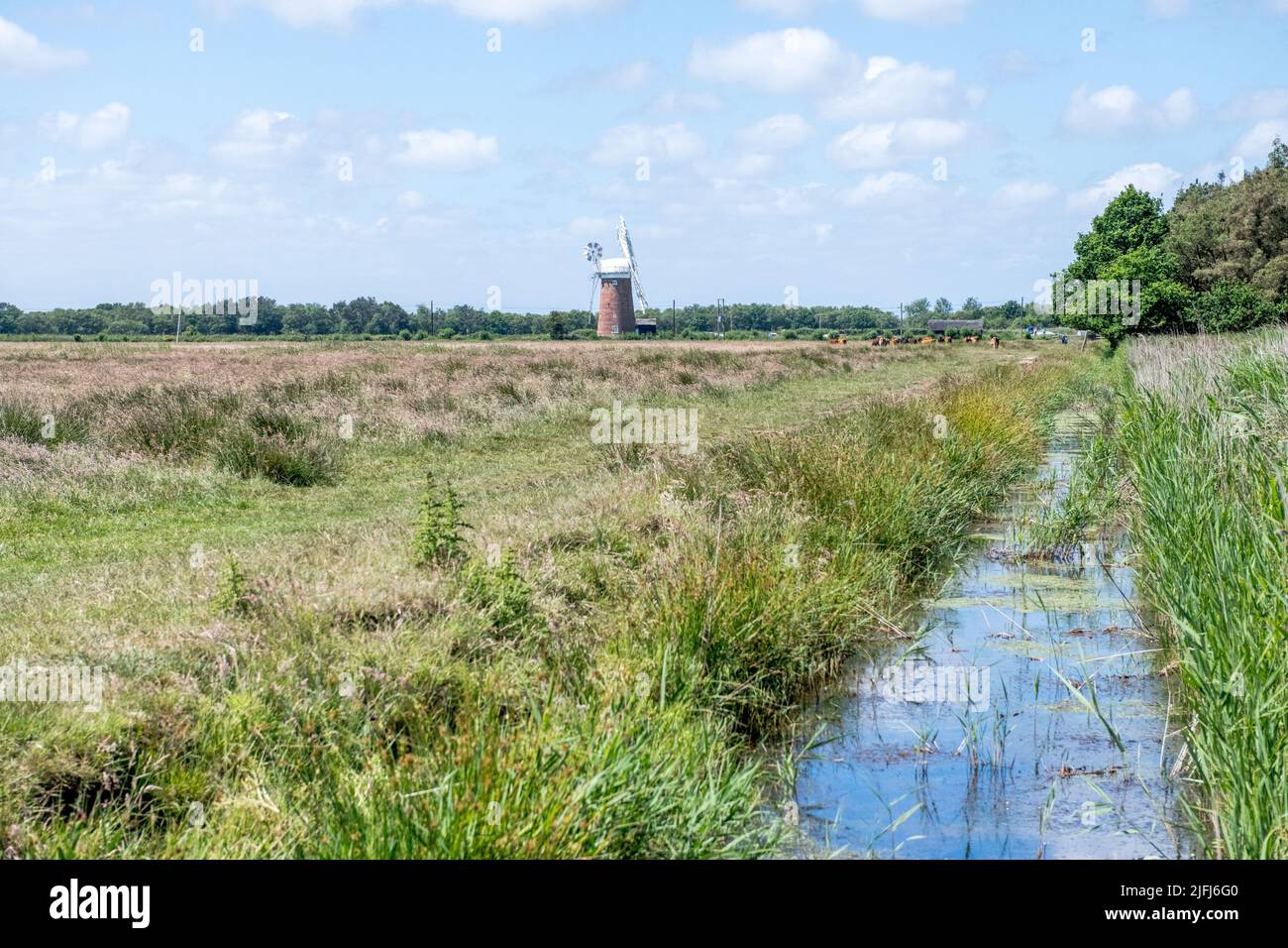 Horsey Windpump or drainage windmill on the norfolk broads Stock Photo ...