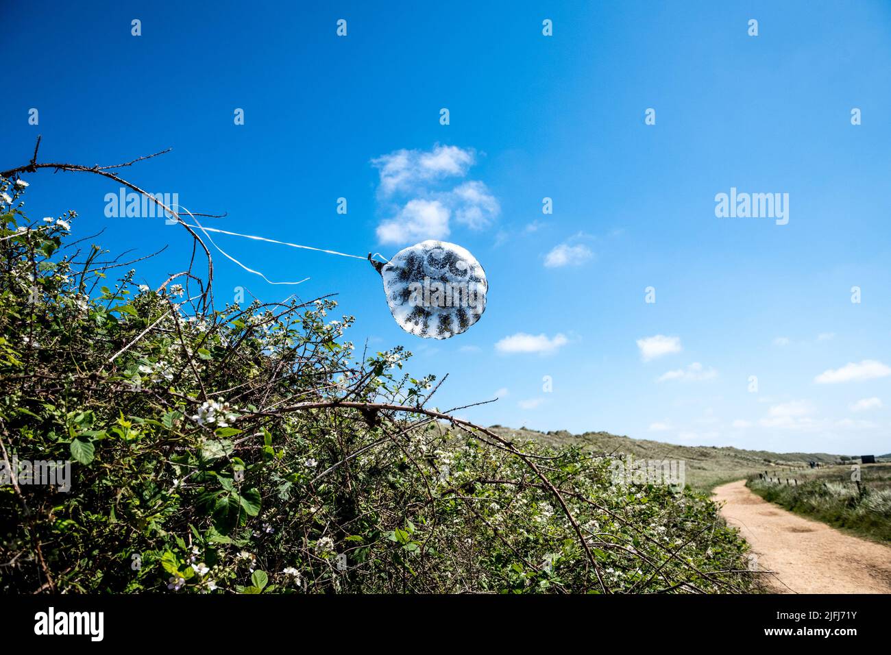 Happy birthday and nature hi-res stock photography and images - Alamy