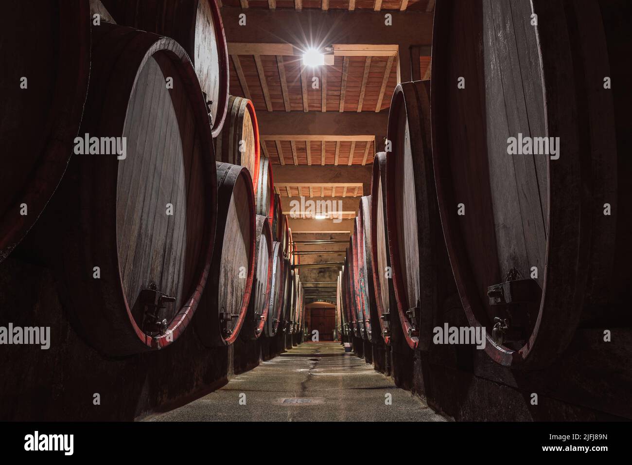Rows of wooden wine-filled casks line the cellar of the winery, a wine ...