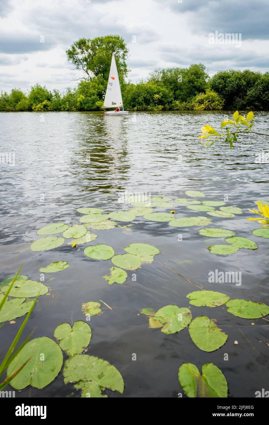 Sailing boats and river cruisers on the Norfolk Broads Stock Photo - Alamy