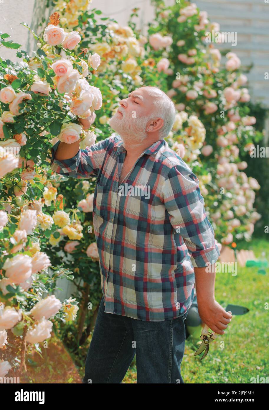 Grandfather planting flowers grandson hi-res stock photography and ...