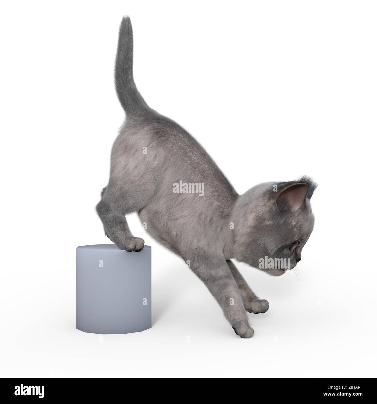 3d-illustration of an isolated cute baby cat going Stock Photo - Alamy
