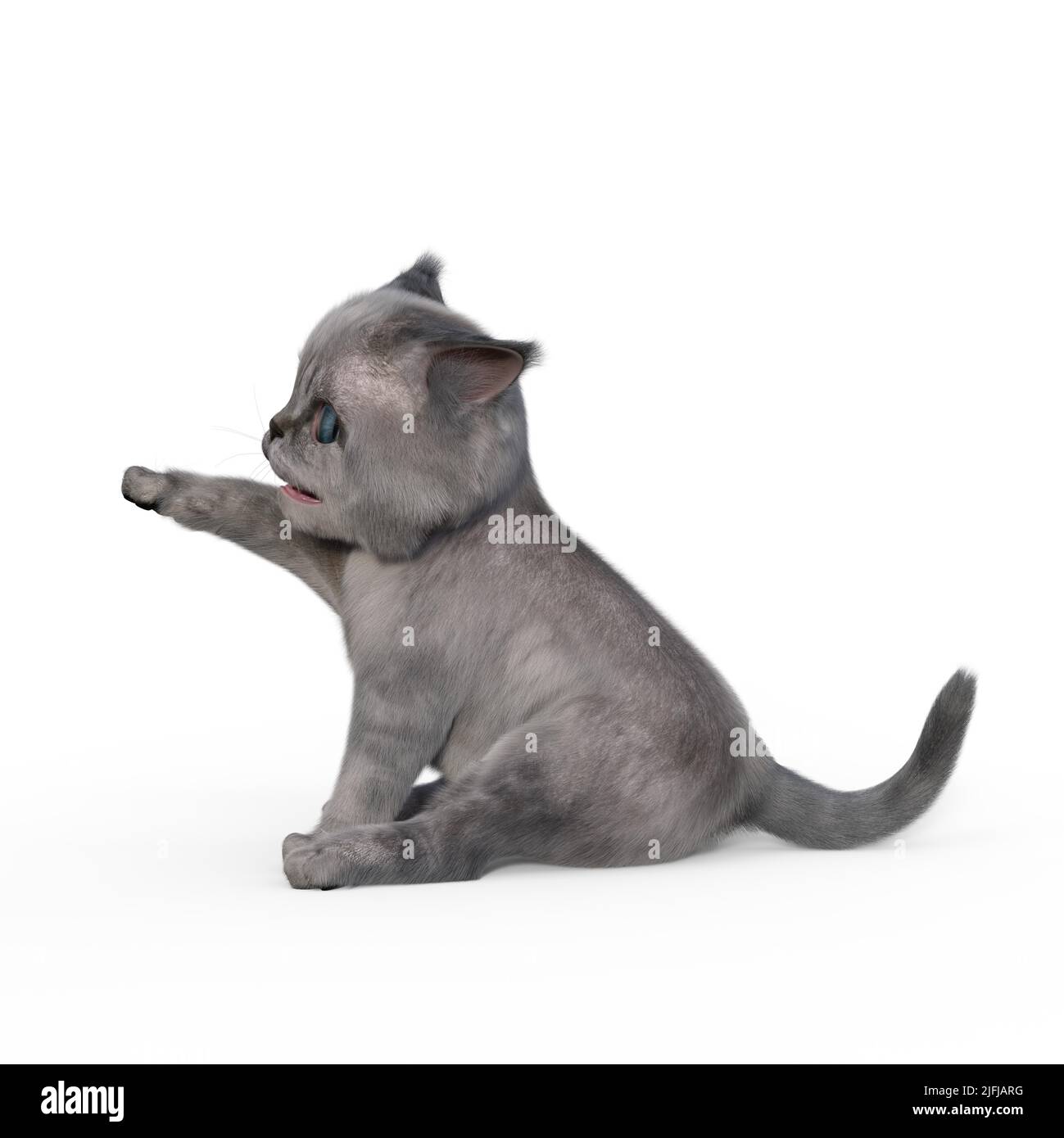 3d-illustration of an isolated cute baby cat pointing Stock Photo - Alamy
