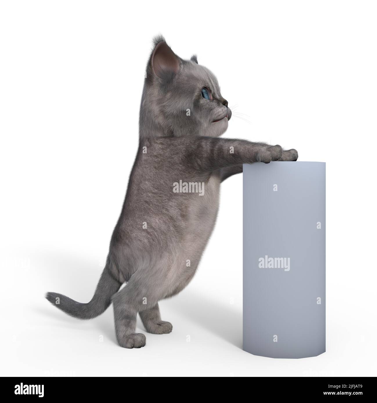 3d-illustration of an isolated cute baby cat standing Stock Photo - Alamy