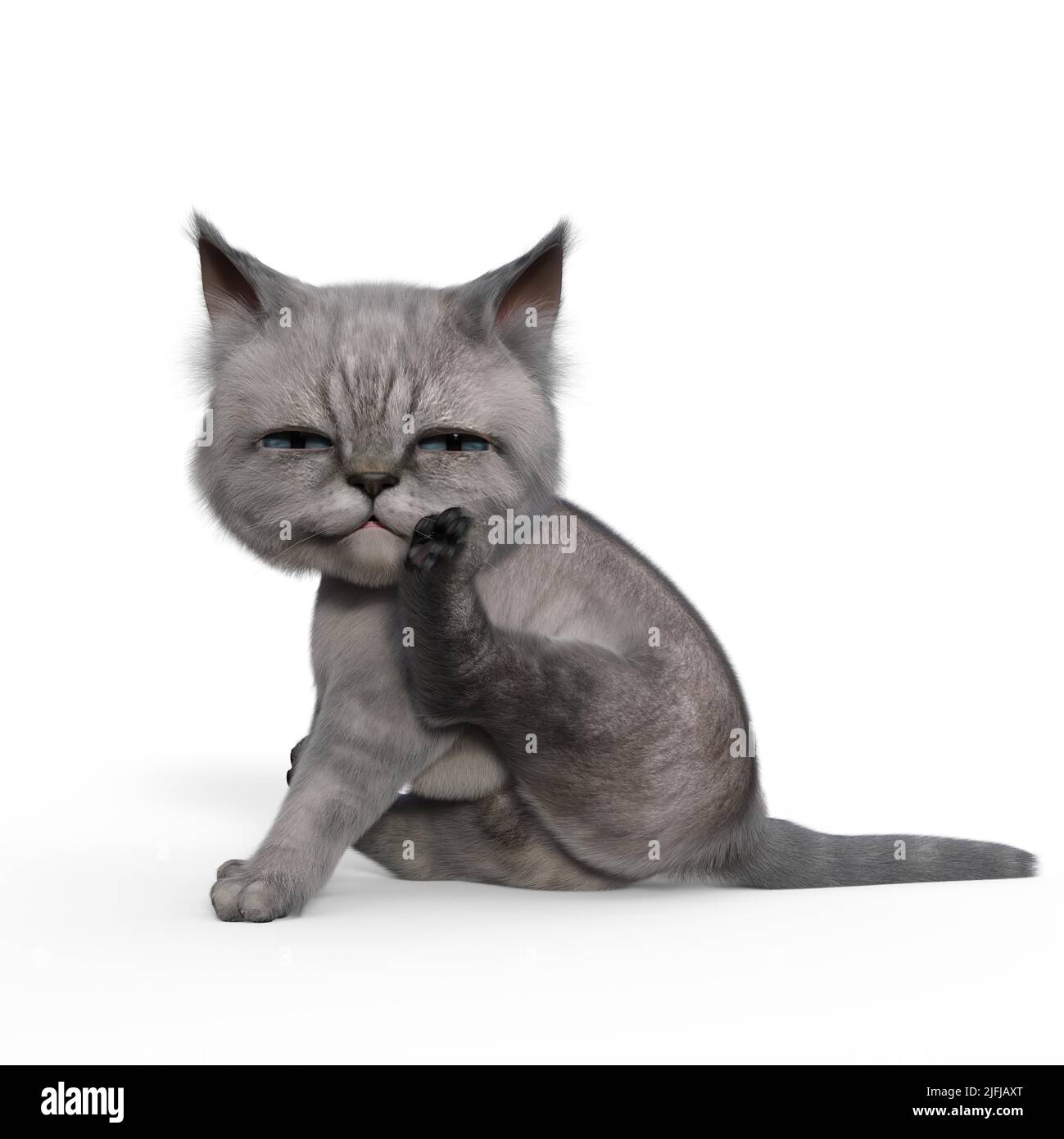 3d-illustration of an isolated cute baby cat cleaning Stock Photo - Alamy