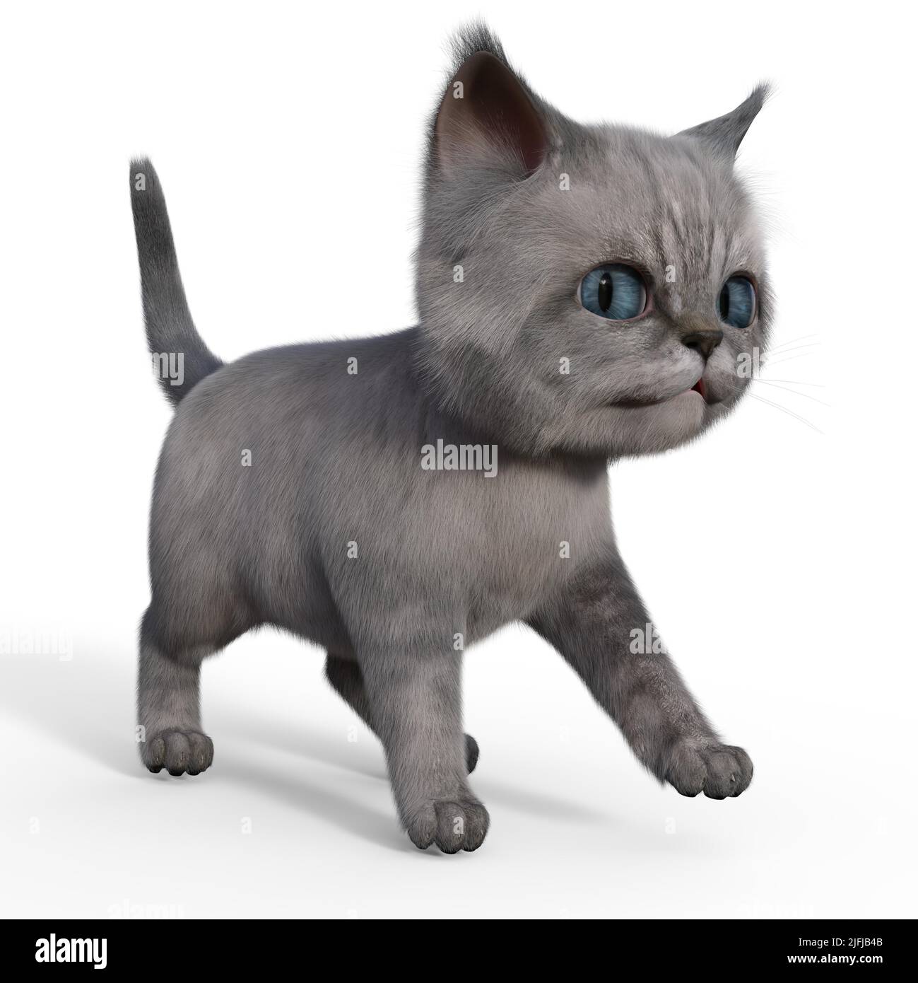 3d-illustration of an isolated cute baby cat walking Stock Photo - Alamy
