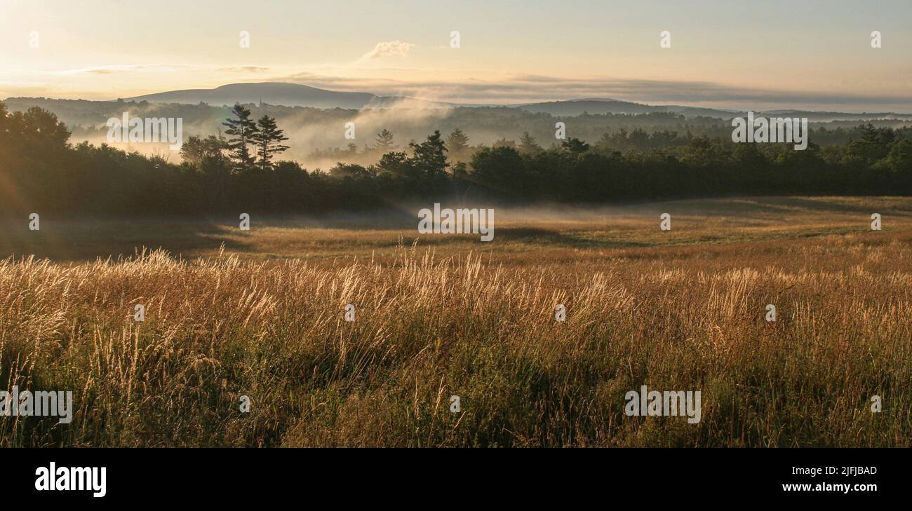 A summer morning in a rural Massachusetts town Stock Photo - Alamy