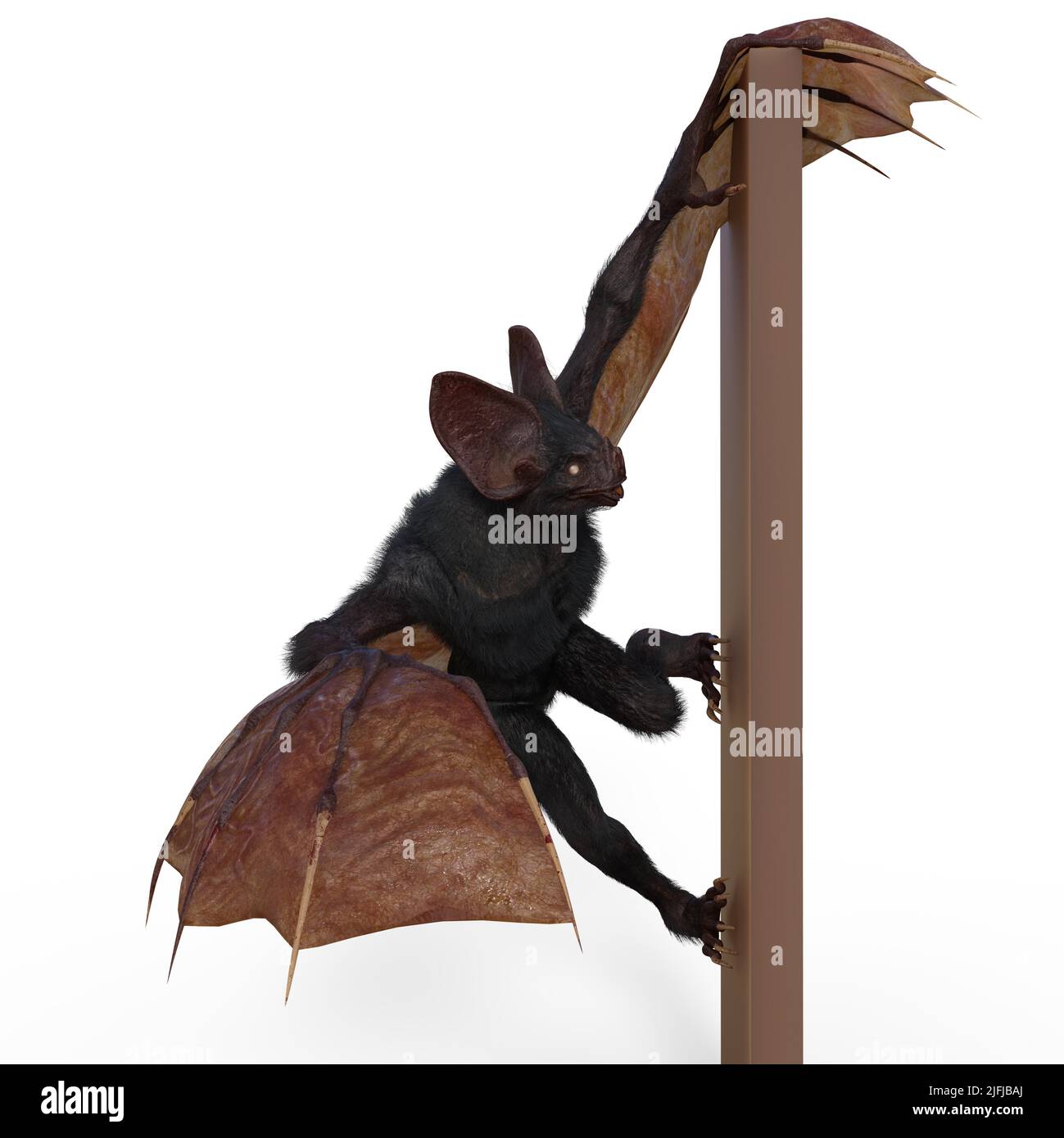 3d-illustration of an isolated creepy fantasy werebat Stock Photo - Alamy
