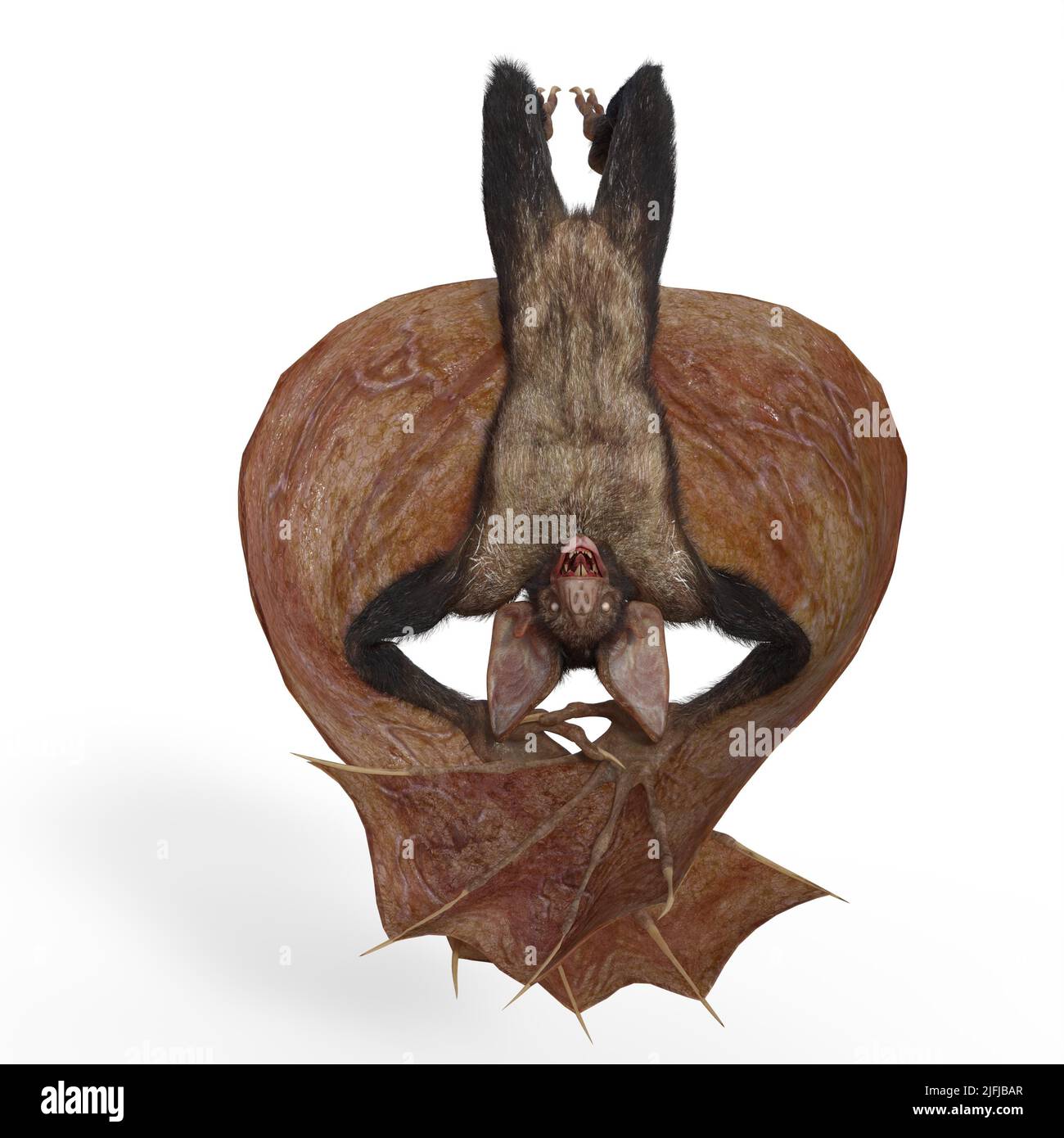3d-illustration of an isolated creepy fantasy werebat Stock Photo - Alamy