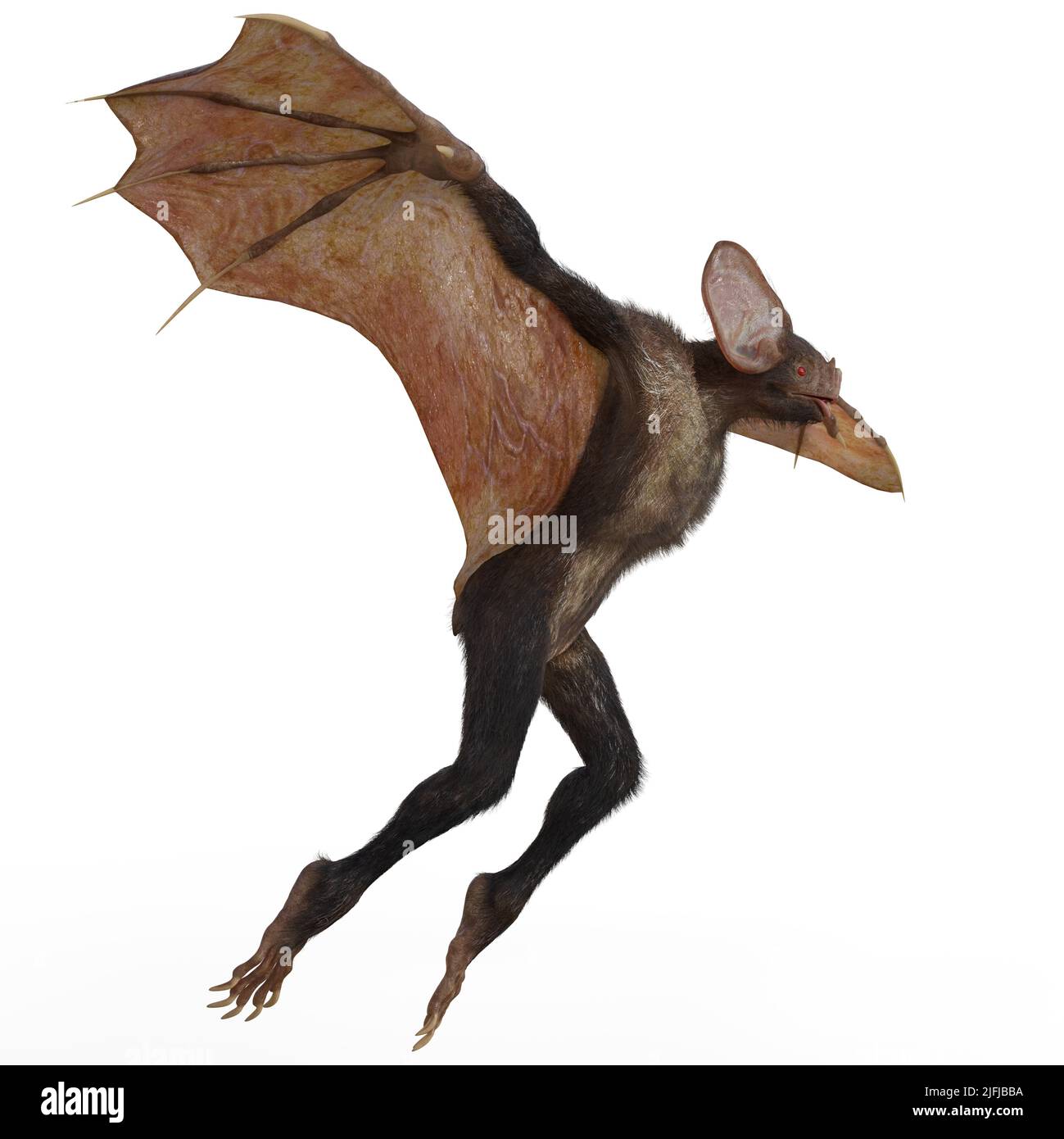 3d-illustration of an isolated creepy fantasy werebat Stock Photo - Alamy