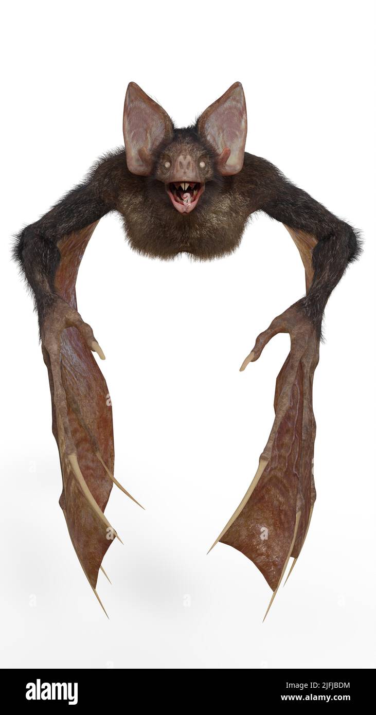 3d-illustration of an isolated creepy fantasy werebat Stock Photo - Alamy