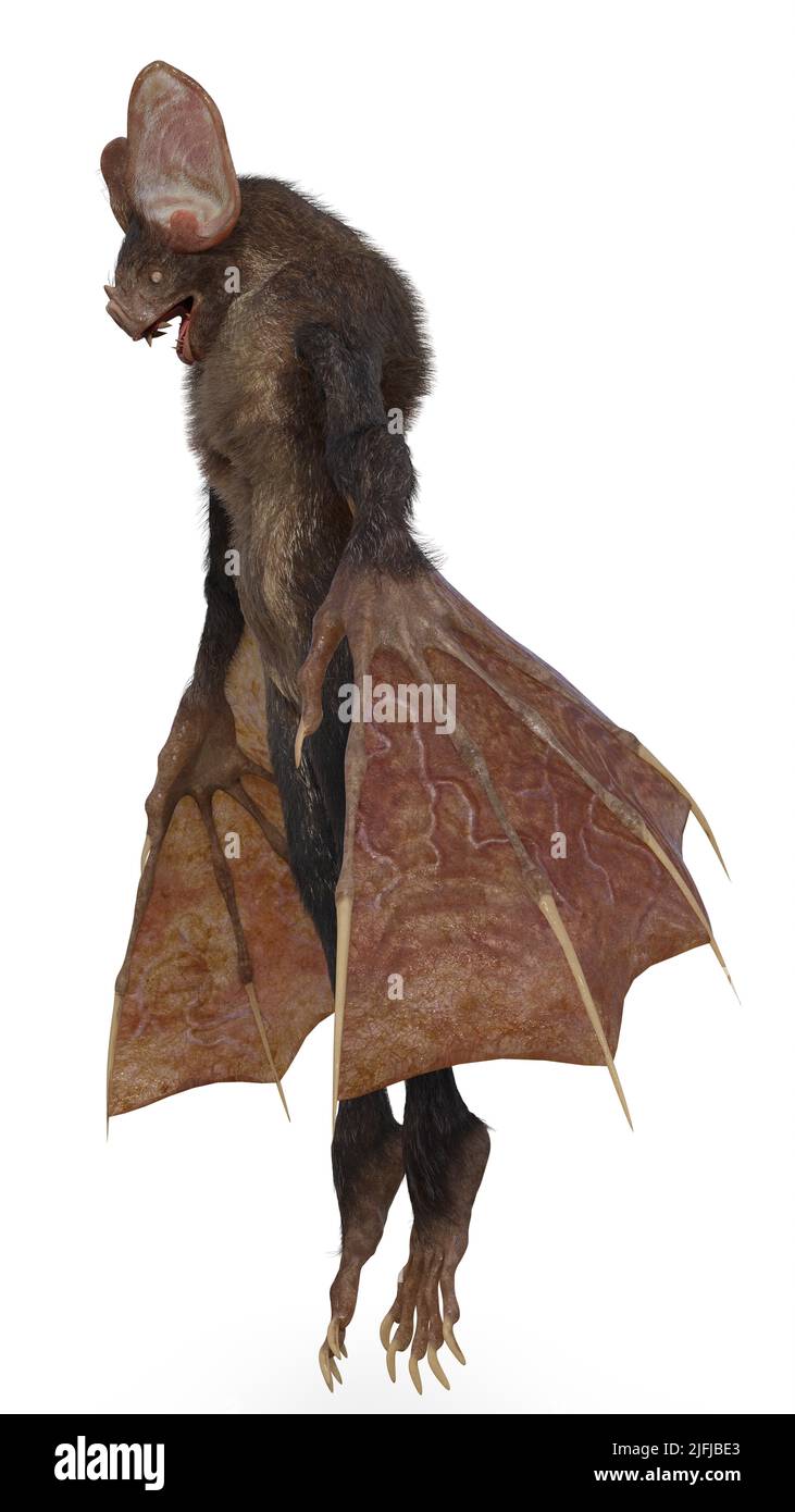 3d-illustration of an isolated creepy fantasy werebat Stock Photo - Alamy