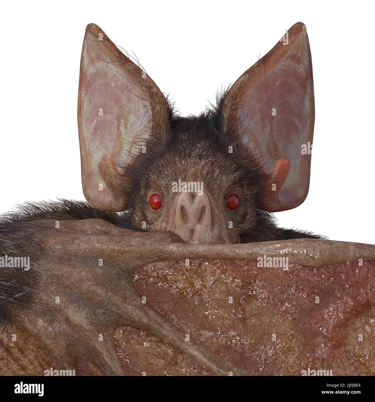 3d-illustration of an isolated creepy fantasy werebat Stock Photo - Alamy