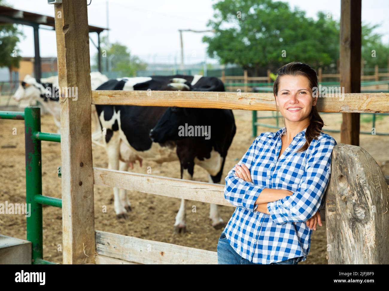 Portrait of modern young female farmer engaged in breeding of cows ...