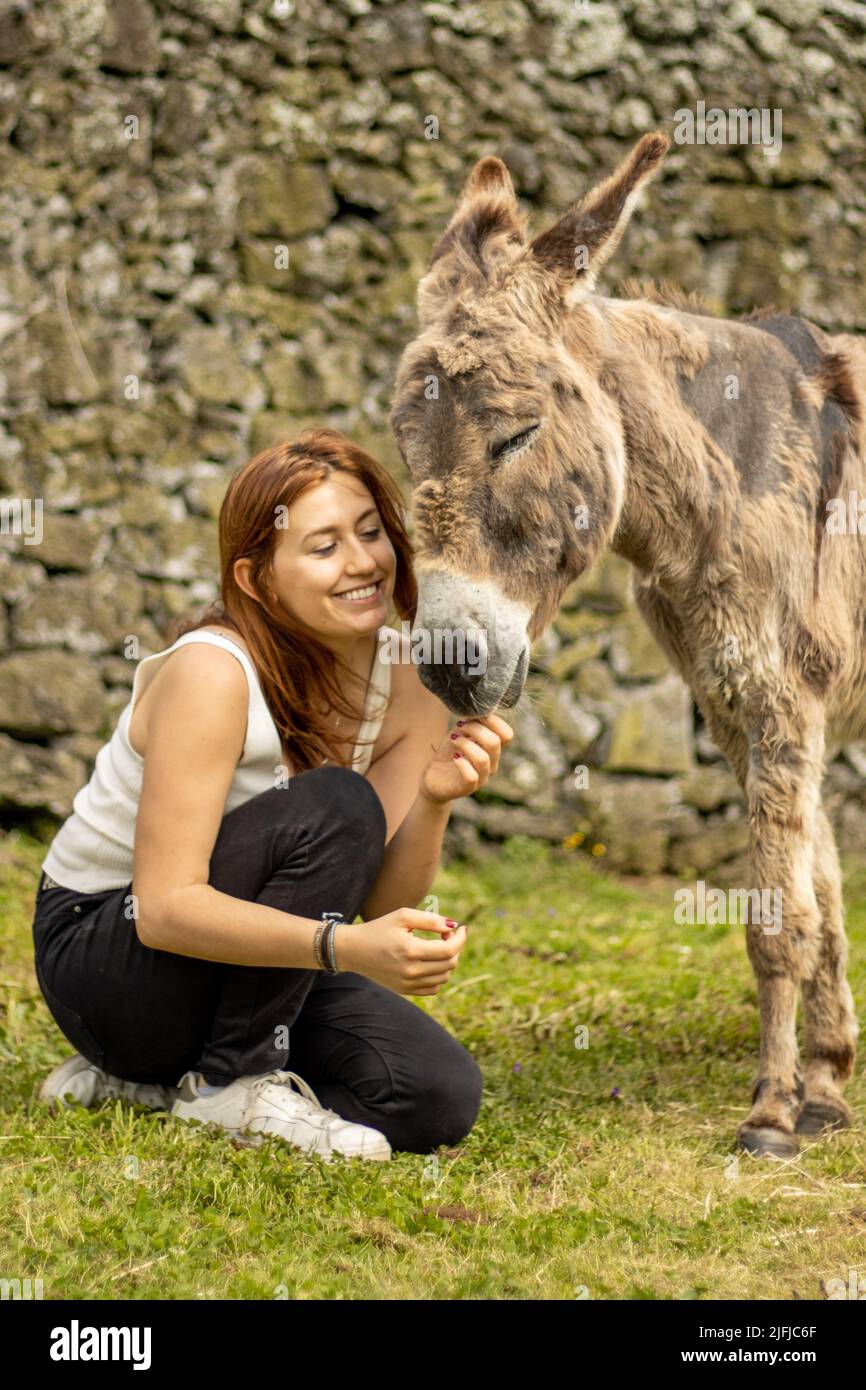 Girl with donkey, farm animals and person, cute friendship Stock Photo ...