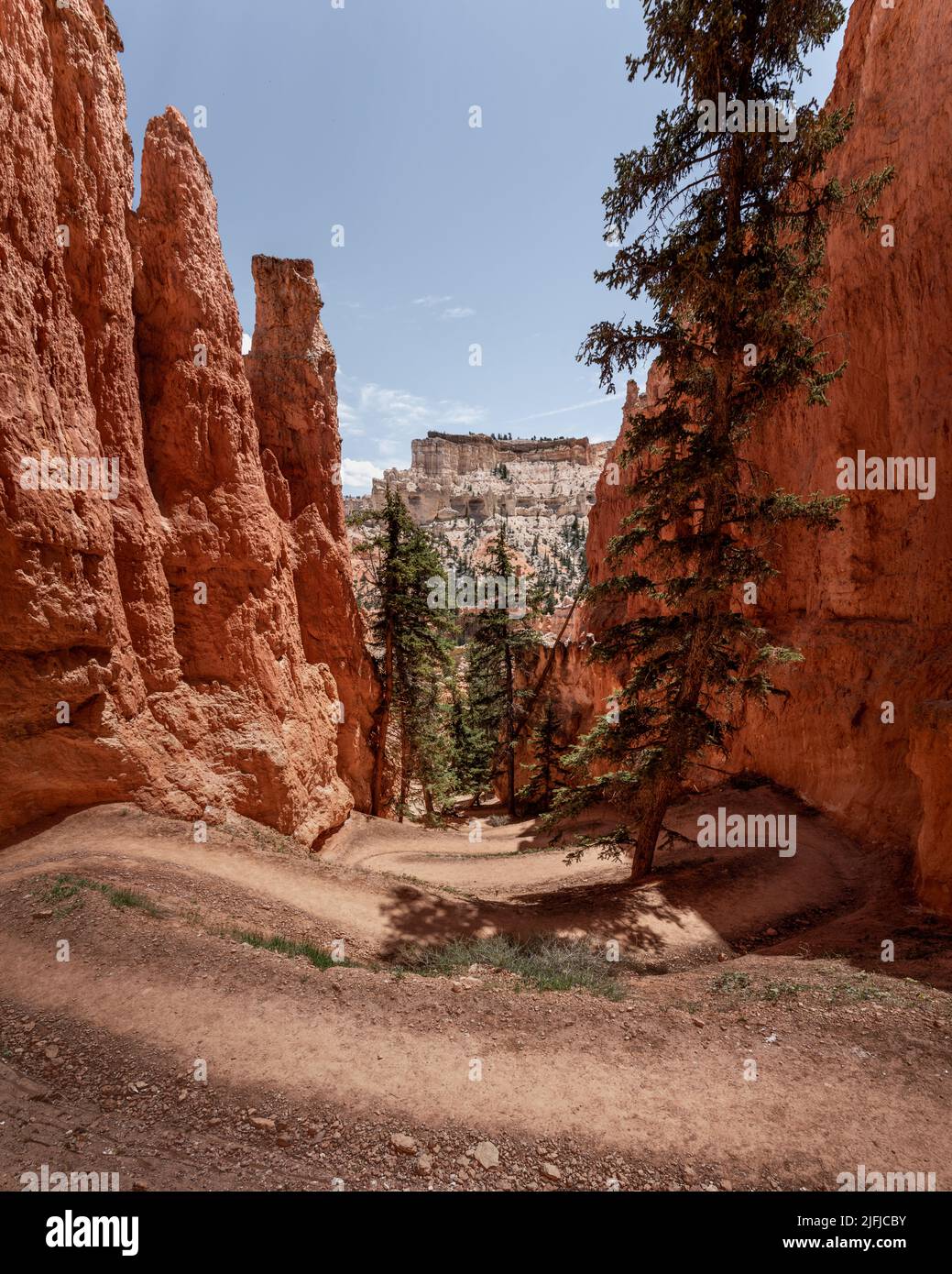Incredible Bryce Canyon in Utah, United States of America. Travelling ...