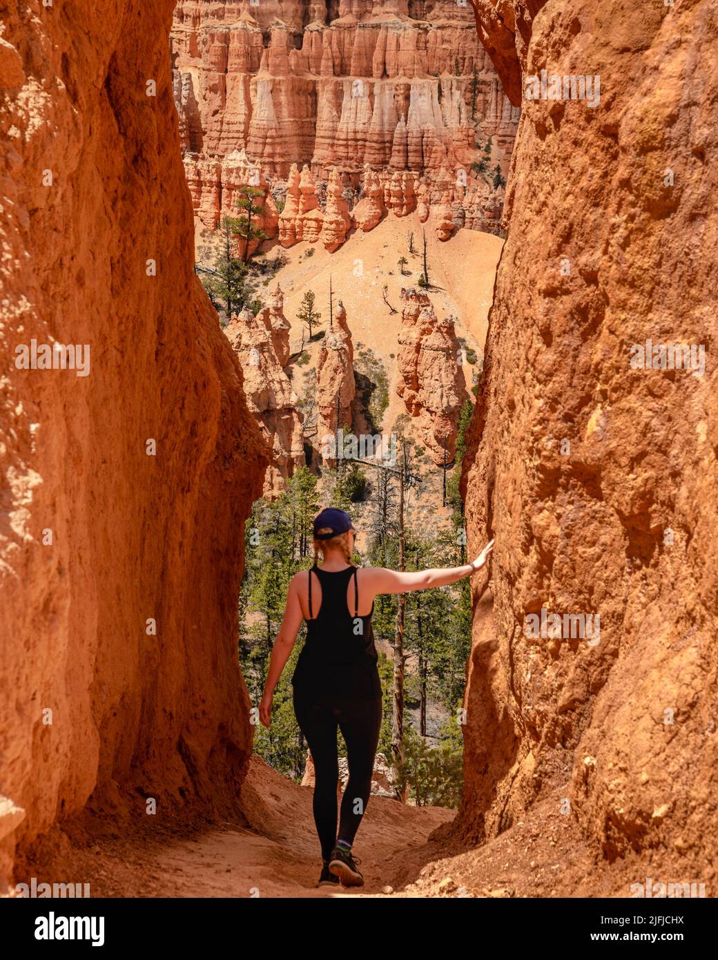 Woman hiking through the stunning Bryce Canyon in Utah, United States ...