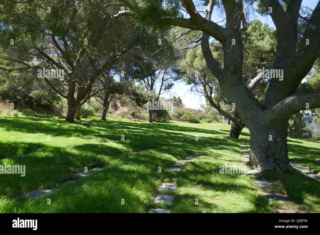 Los Angeles, California, USA 19th June 2022 Actor Dan Duryea's Grave in ...