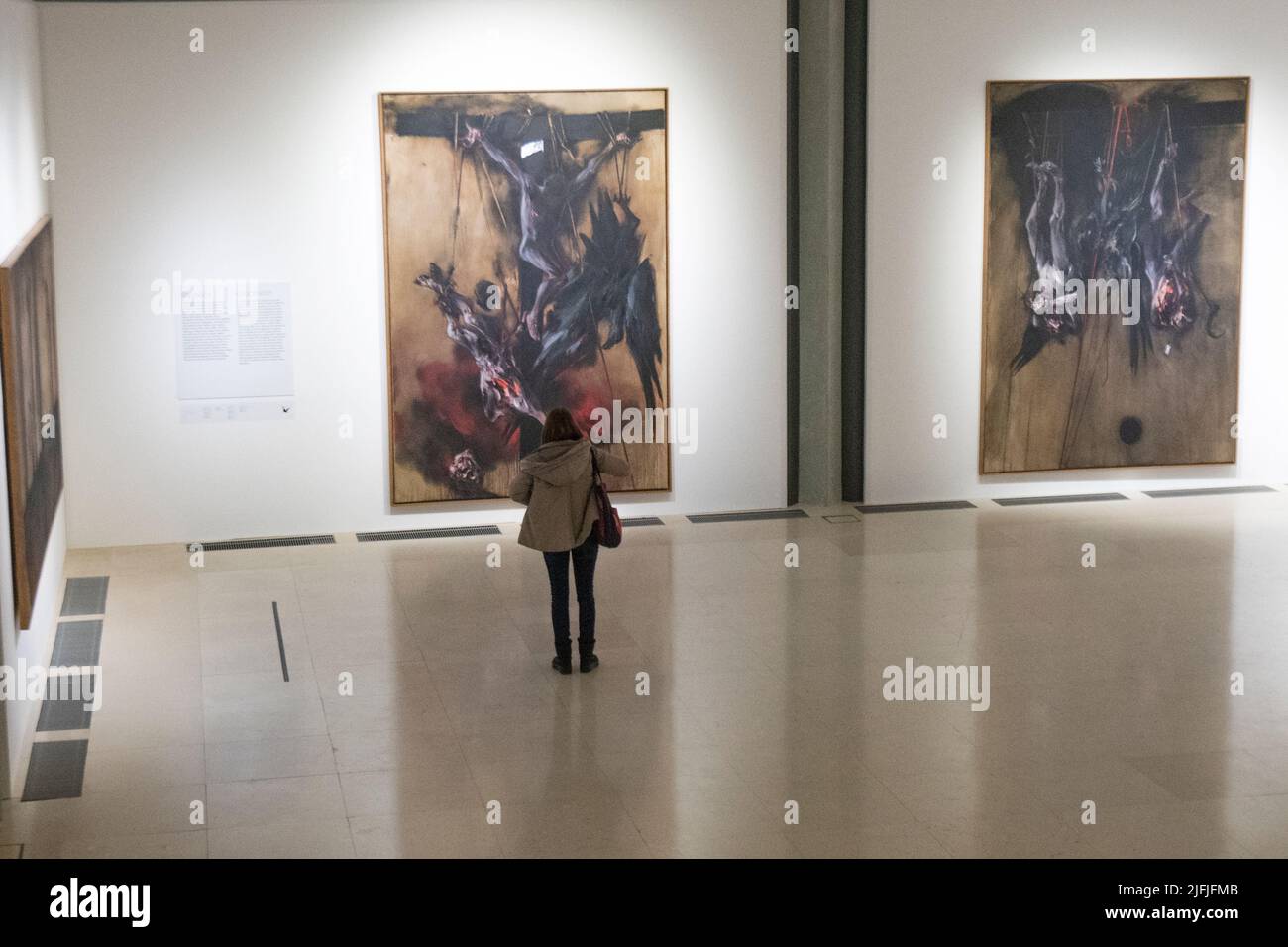 Vladimir velickovic serbia hi-res stock photography and images - Alamy