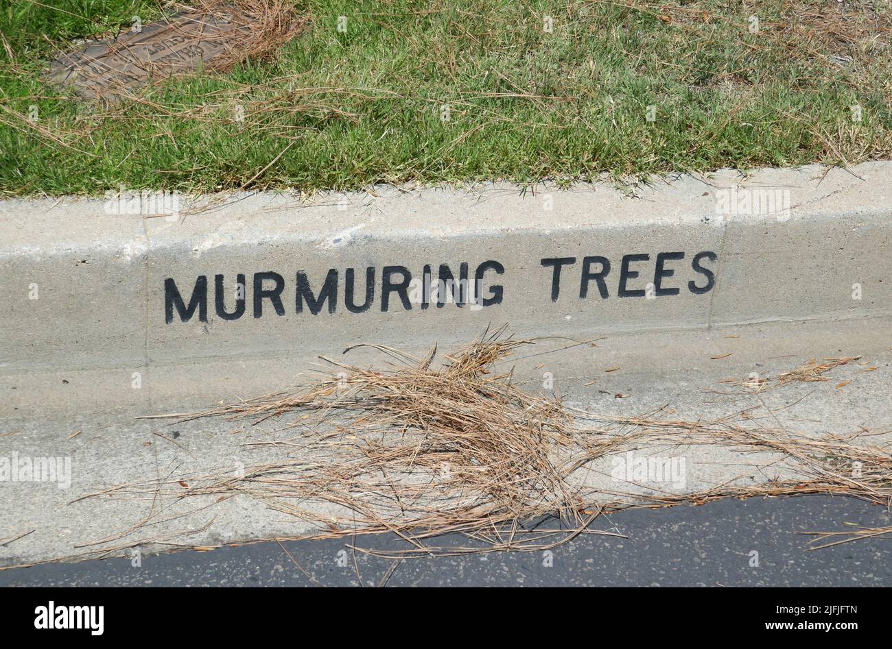 Los Angeles, California, USA 19th June 2022 Murmuring Trees Section at ...