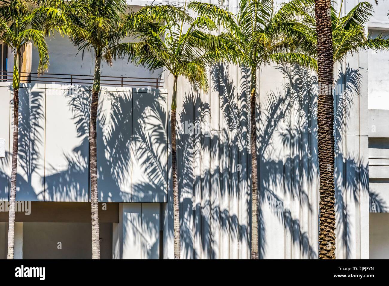 Palm Trees Shadows Art Deco Building Miami Beach Florida Miami Beach ...