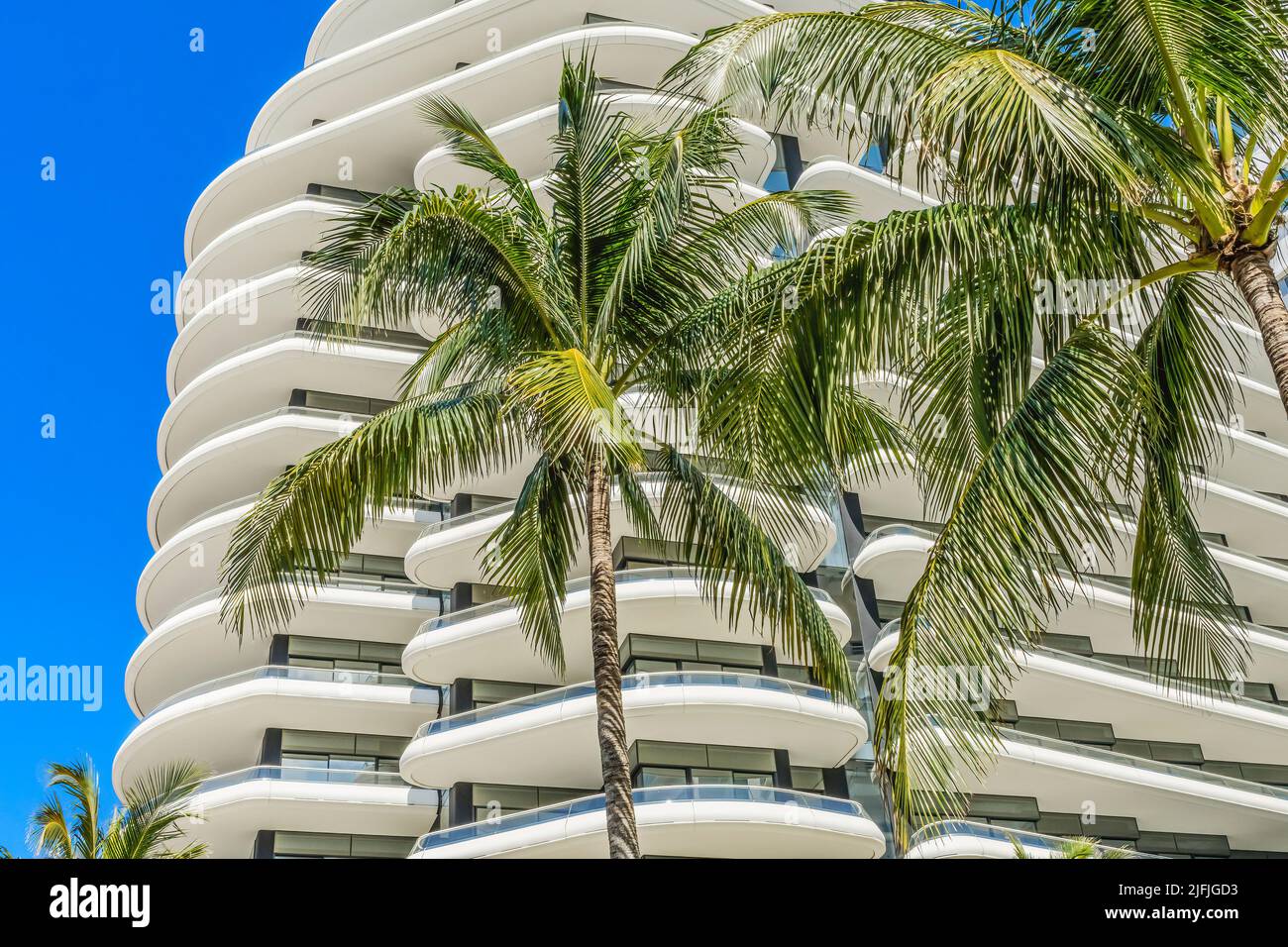 Palm Trees White Art Deco Multi-Level Building Miami Beach Florida ...