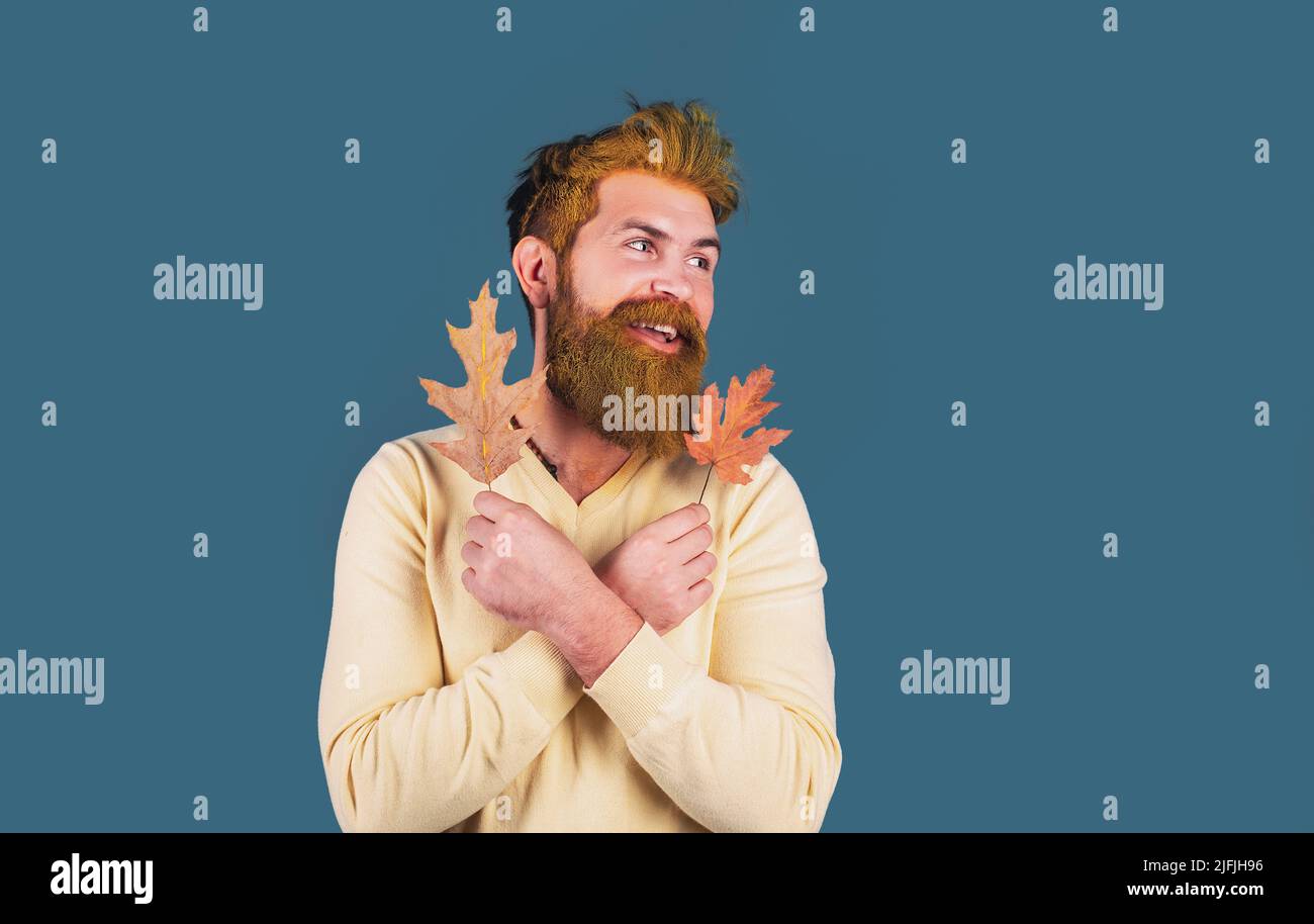 Red-haired man playing with leaves and looking at camera. Autumn ...
